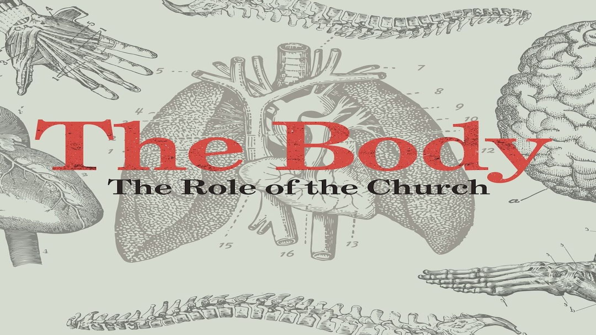 The Blessings of Belonging to the Body (Part 1) - LifeBrook - LifeBrook